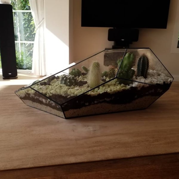 Preserved Moss Terrarium Geometric Terrarium Green Cliff Terrarium ...
