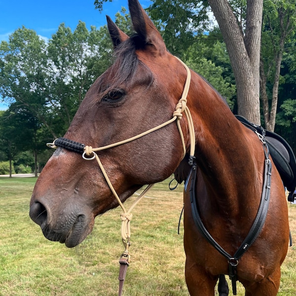 Custom Halter and Mecate Rein Set, Custom Mecate Reins, Mecate Training Set, Custom Yacht Reins ...