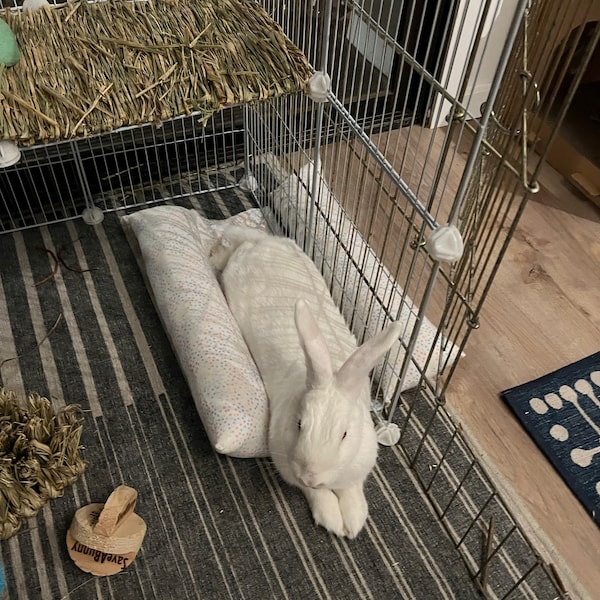 Bunny Rabbit Snuffle Mat: Foraging Enrichment Toy - Etsy