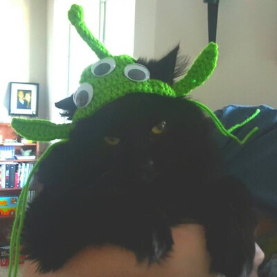 Alien Cat Costume - Etsy