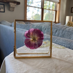 Set of 3 or 4 Double Glass Frame for Pressed Flowers Small - Etsy