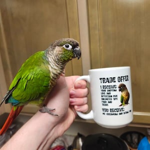 Sun Conure Mug, Sun Conure Raptor Mug, Sun Conure Mother Mom Father Dad ...