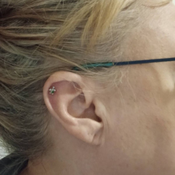 16G Tiny Shell Flower Stud Earring Helix Conch Cartilage Ear Studs ...