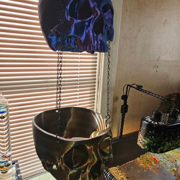 High Detail Human Skull Container Goth Storage Solution Skull Box Full ...