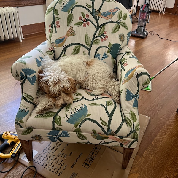 Ballard Designs LYLE GREEN Blue Song Birds Floral Vine Drapery Curtains ...