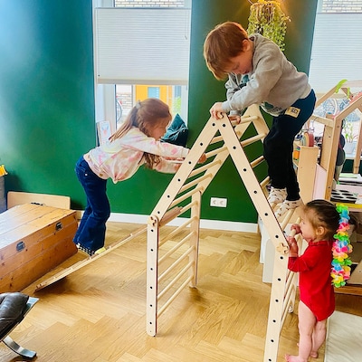 GIANT CLIMBER Transformable Climbing Triangle Multipurpose Long Lasting ...