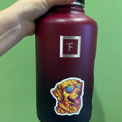 Super Cool Black Lab Sticker dog Sticker, Animal Sticker, Water Bottle ...