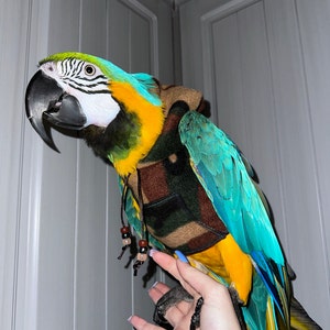 Red Feather Protector for Plucking Parrots/birds Bespoke Babesinthehood ...