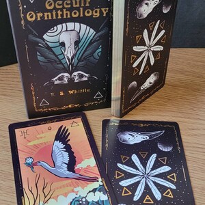 Occult Ornithology Tarot Deck and Guide Majors Only Deck Celebrating ...