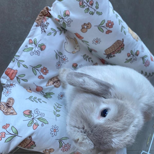 Rabbit Bunny Pet Bed, Wooden Bed With Pillow and Bedsheet Set, Multi ...