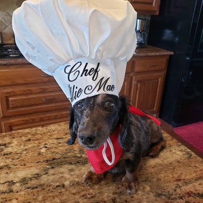 Chef Dog Costume Hat and Red Scarf - Etsy