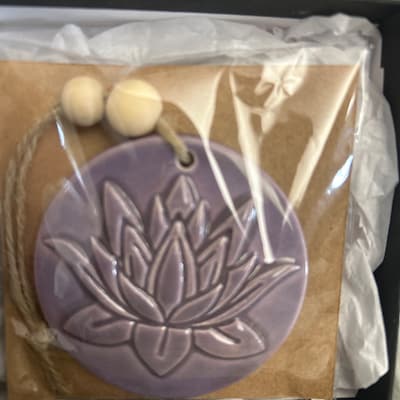 Terracotta Essential Oil Diffuser Passive Diffuser Desert Decor Clay ...