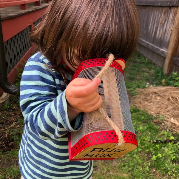 Cute Bug Box...grasshoppers, Ladybugs, Butterflies, Fireflies Etc. - Etsy