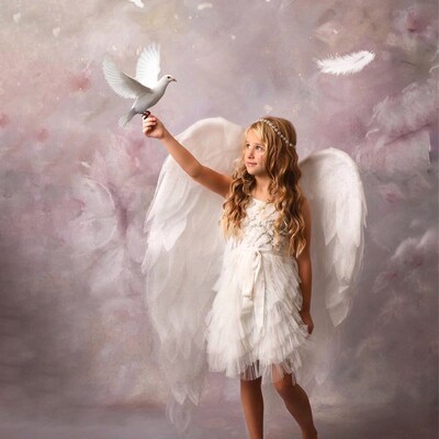 Angel Wings Photo Prop Overlays,photoshop Overlays,feather Overlays ...