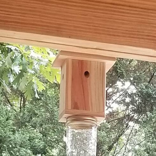 Best Carpenter Bee Trap chalet Style Carpenter Bee Trap wood Boring Bee ...