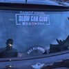 Low Standards Car Windscreen Sticker all Colours & Sizes - Etsy