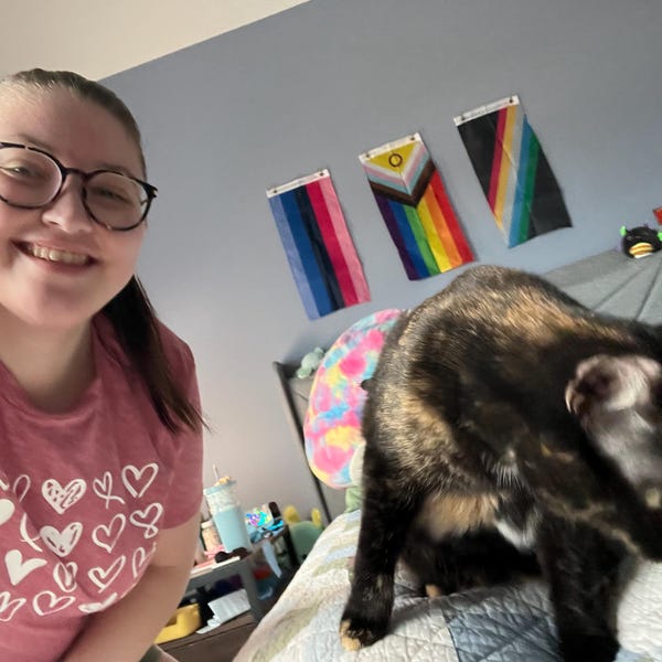 DIGITAL FILE: Printable Extended Pride Flag Reference Guide - Includes ...