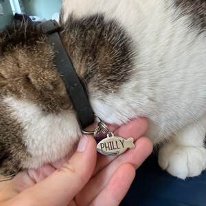 Cat ID Tag With Cat Name Tag ID Tag for Cats Stainless - Etsy