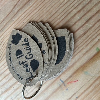 Animal Tracks ID Guide Perfect for Forest School, Child Minder, Home Ed ...