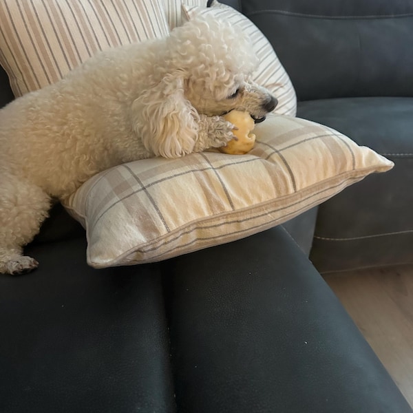 Stuffed Beef Gullet Sticks Dog Chews! Try Them! - Etsy