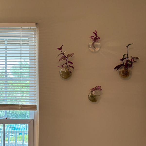 Hanging Glass Wall Planter Propagation Terrarium Vase Quick Hook - Etsy