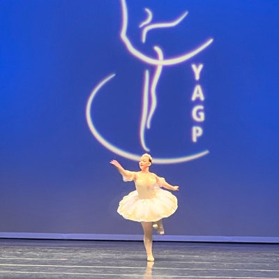 Pink Dew Drop Fairy Ballet Costume - Etsy