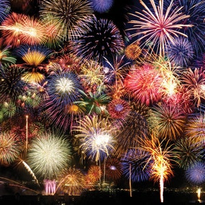 Honey Bee Digital Paper, Seamless Patterns, Black and Gold Bee ...