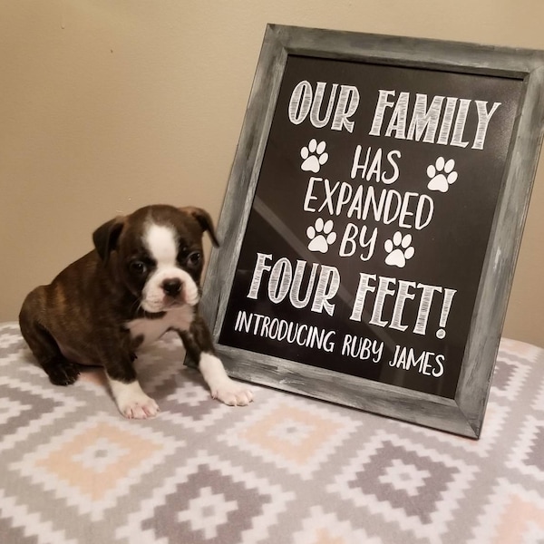 New Puppy Announcement Personalized Chalkboard, New Dog Poster ...