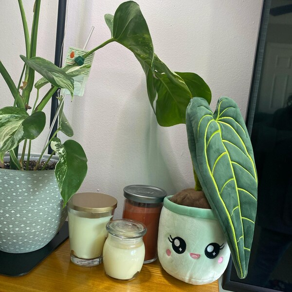 Anthurium Red Crystallinum Plushie - Etsy