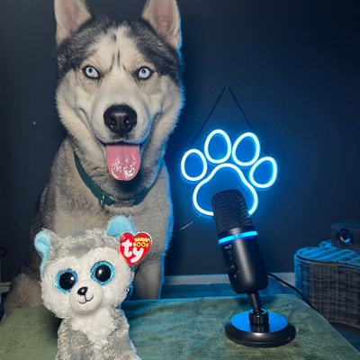 Neon Sign Dig Old Bicks Neon Light, Dig Old Bicks Led Sign Custom Neon ...