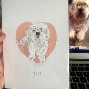 Sheepadoodle Illustration / Doodle Dog Drawing / Pet Lovers | Etsy