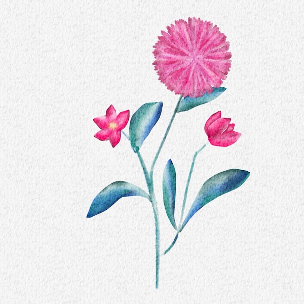 Procreate Color Palette Bundle With Hundreds Of Palettes And Thousands Of Colors For Color Picking