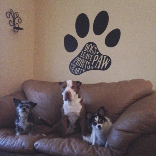 Dogs Leave Paw Prints on Your Heart - K9 Pet Canine Love Friendship ...