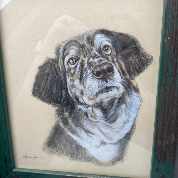 DOG POTRAITS, CUSTOM Dog Drawings, Hand Drawn and Painted Samples - Etsy