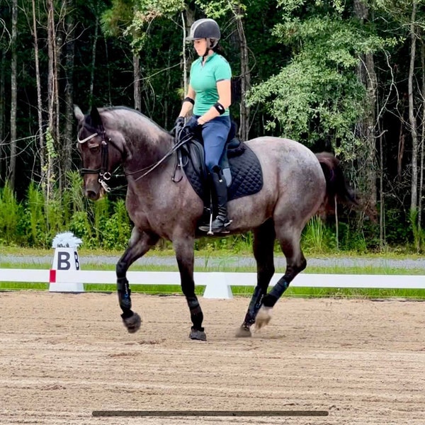Cavalon Full Cheek Soft Leather Snaffle Bit - Etsy