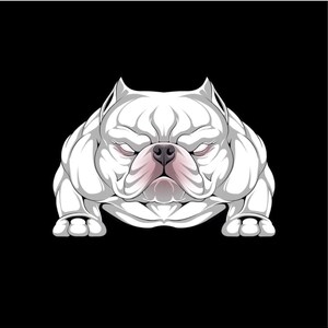 Angry American Bully Head EPS, JPG and PNG for Tshirts, Logo, Templates ...