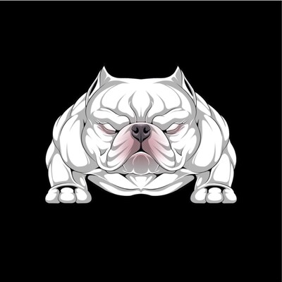 American Bully Exotic Vector Pack Black and White Vector, Eps, Png for ...