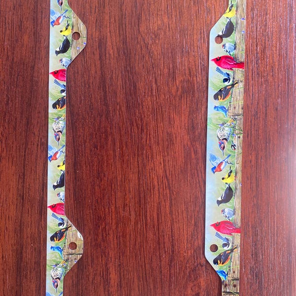 Primrose on Sage License Plate Frame- Floral License Plate Cover ...