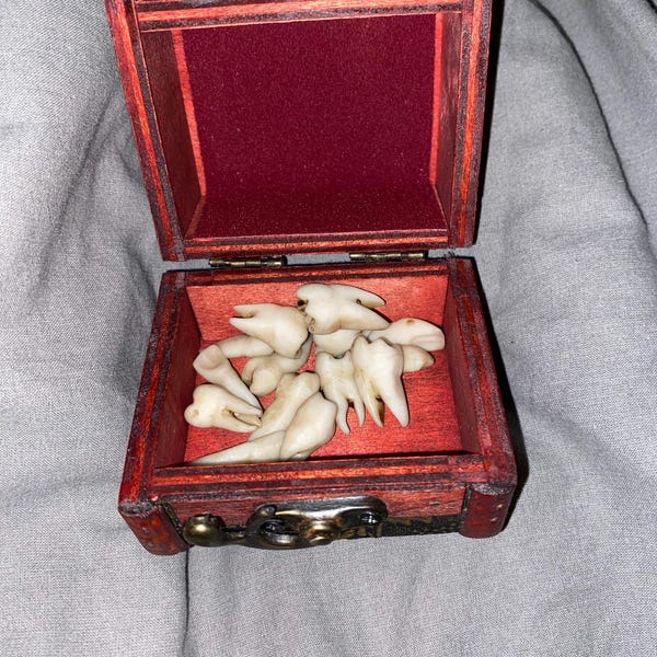 Aged Human Teeth in a Box - Curiosities - Weird Creepy Stuff - Etsy