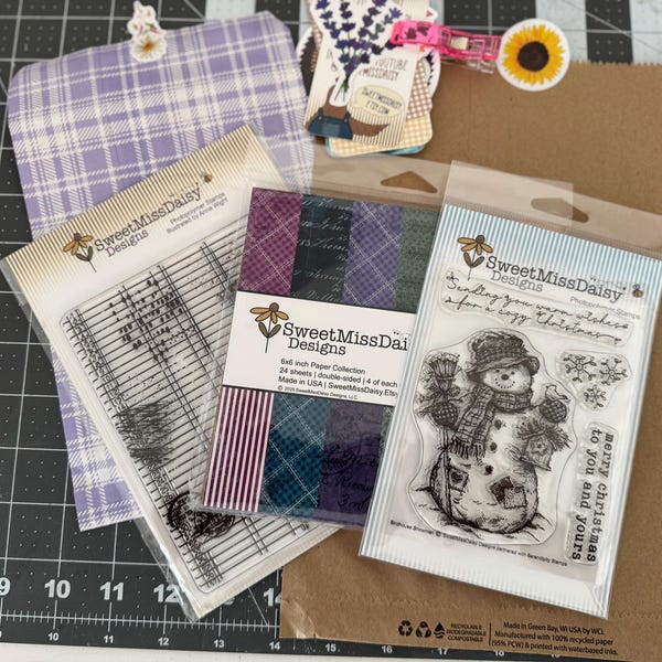 Mini Gingham 6x6 Paper Collection, 24 Double-sided Sheets, 12 Unique ...