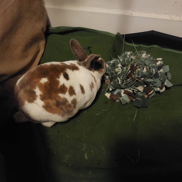 Seagrass Enrichmat™ | Snuffle Mat | Foraging & Enrichment Mat | Well ...