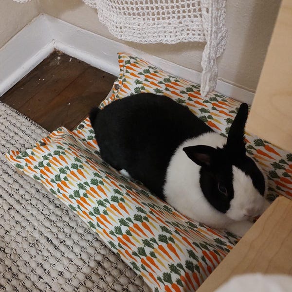 Seagrass Mat Replacements for Enrichmat™ Snuffle Mat Foraging ...