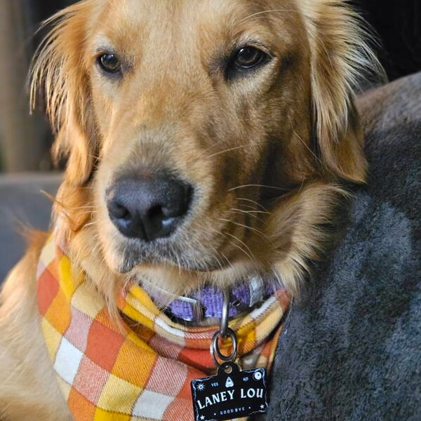 Witchy Pet ID Tag, Custom Personalized Dog or Cat Tags, Mystical Gothic ...