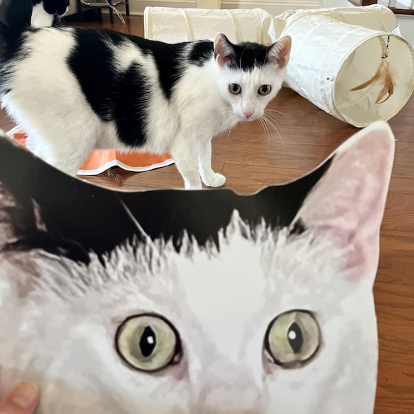 Custom Cat Head Cutouts | Take Your Cat With You Anywhere You Go - Etsy