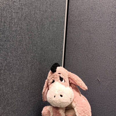 2004 mucha Lucha Wrestling Dog Soft Toy, by Quiron Famosa, Unusual Hard ...