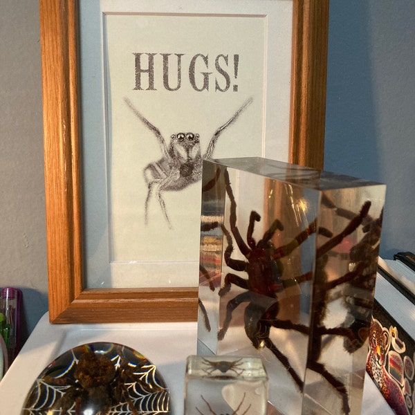 Printable Instant Download, Jumping Spider Card, Hugs - Etsy
