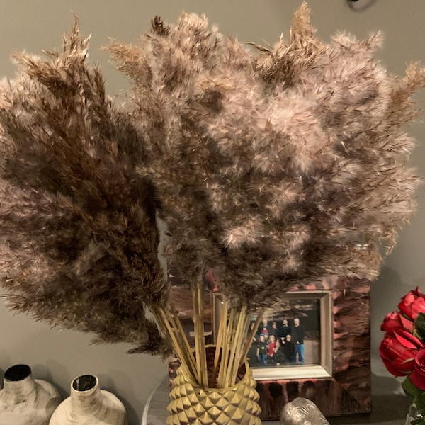6" Juniper Sticks , Juniper Sticks, Juniper Scent Sticks, Juniper ...