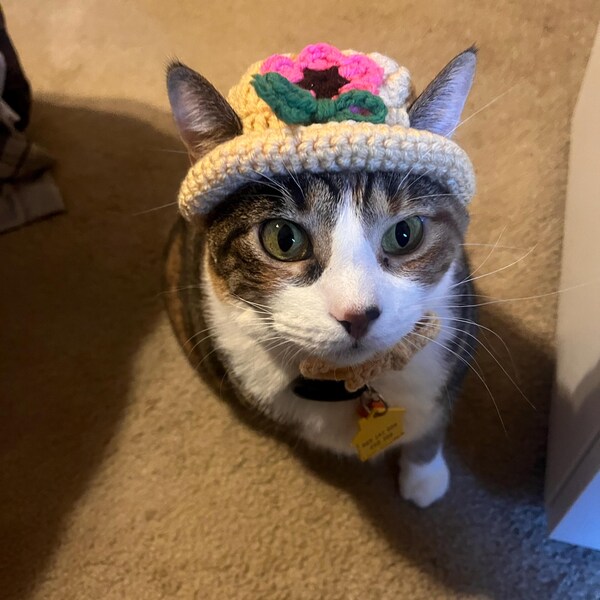 Pink Flower Summer Hat Cat Hats Cat Costumes Cat Accessories Cat ...