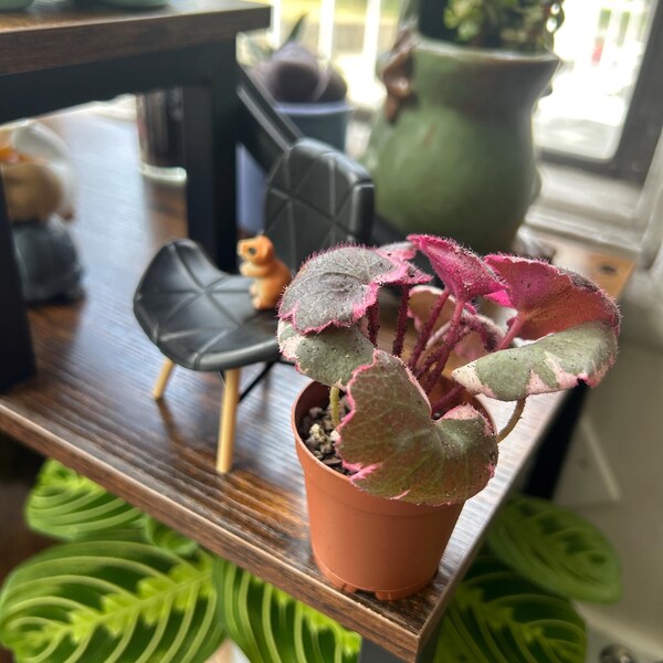 Peace Dove Tree Topper Gold Olive Branch Gift Idea Sale Metal Wall ...