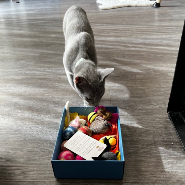 Felt Fairy Finger Puppets, Colourful Rainbow Gnomes and Fairy, Gifts ...